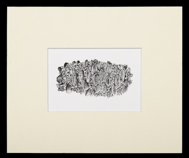 Emma Simpson | Art Gallery of NSW