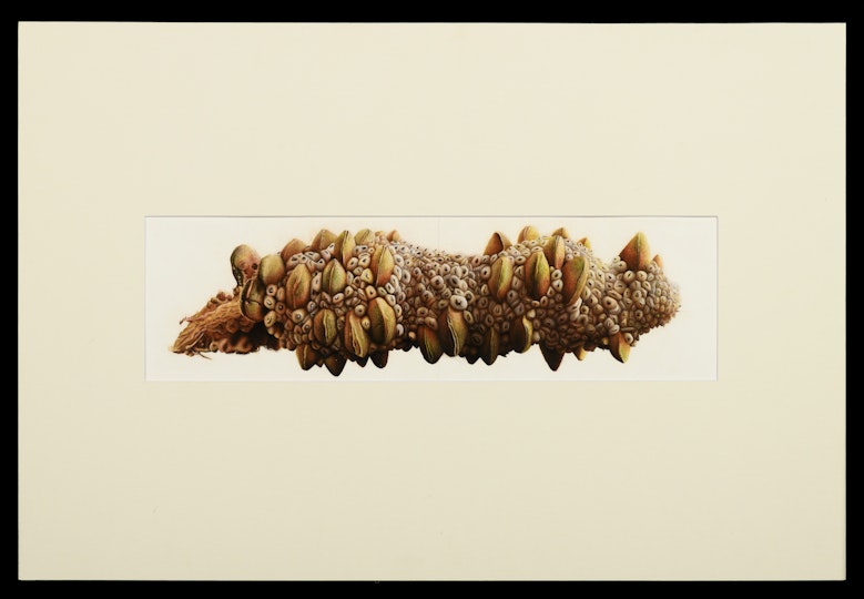 Emma Simpson | Art Gallery of NSW