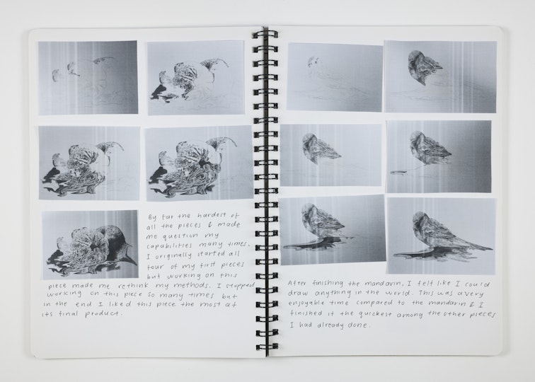 Kevin Kou | Art Gallery of NSW