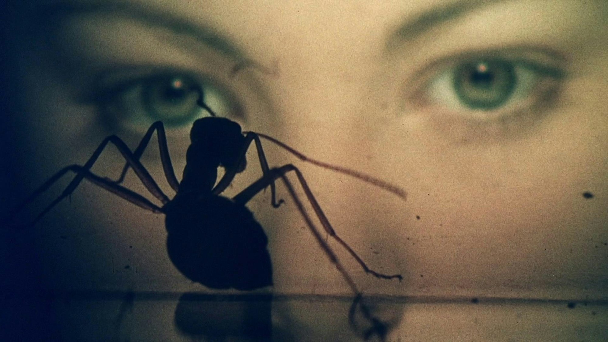 Film series: Critter | Art Gallery of NSW