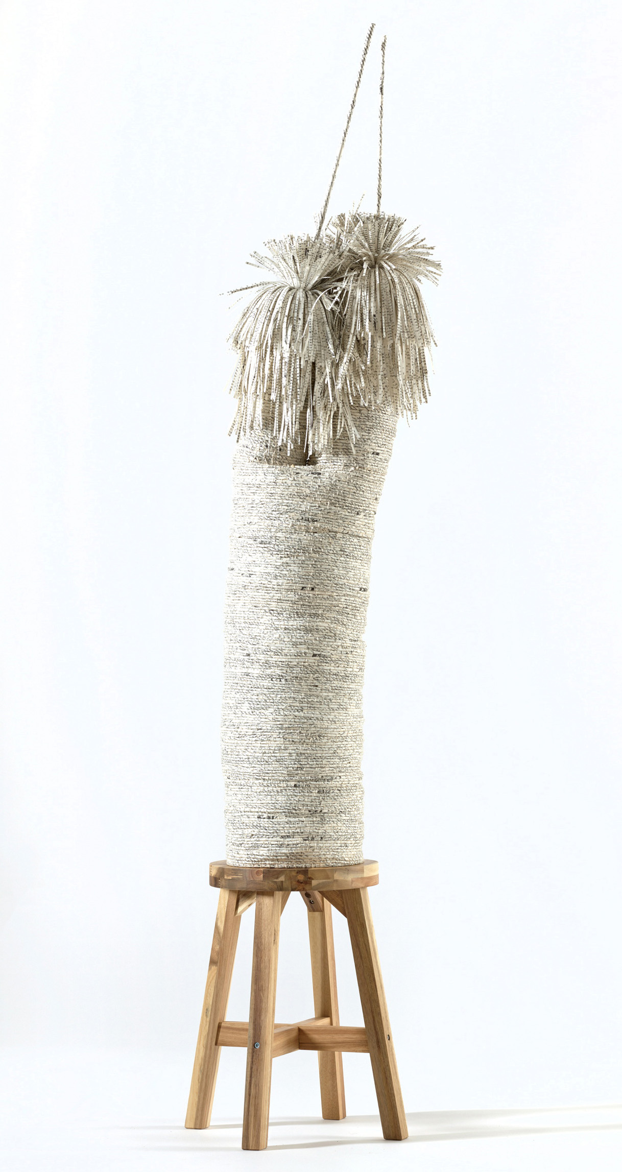 Wynne Prize 2024 | Art Gallery of NSW