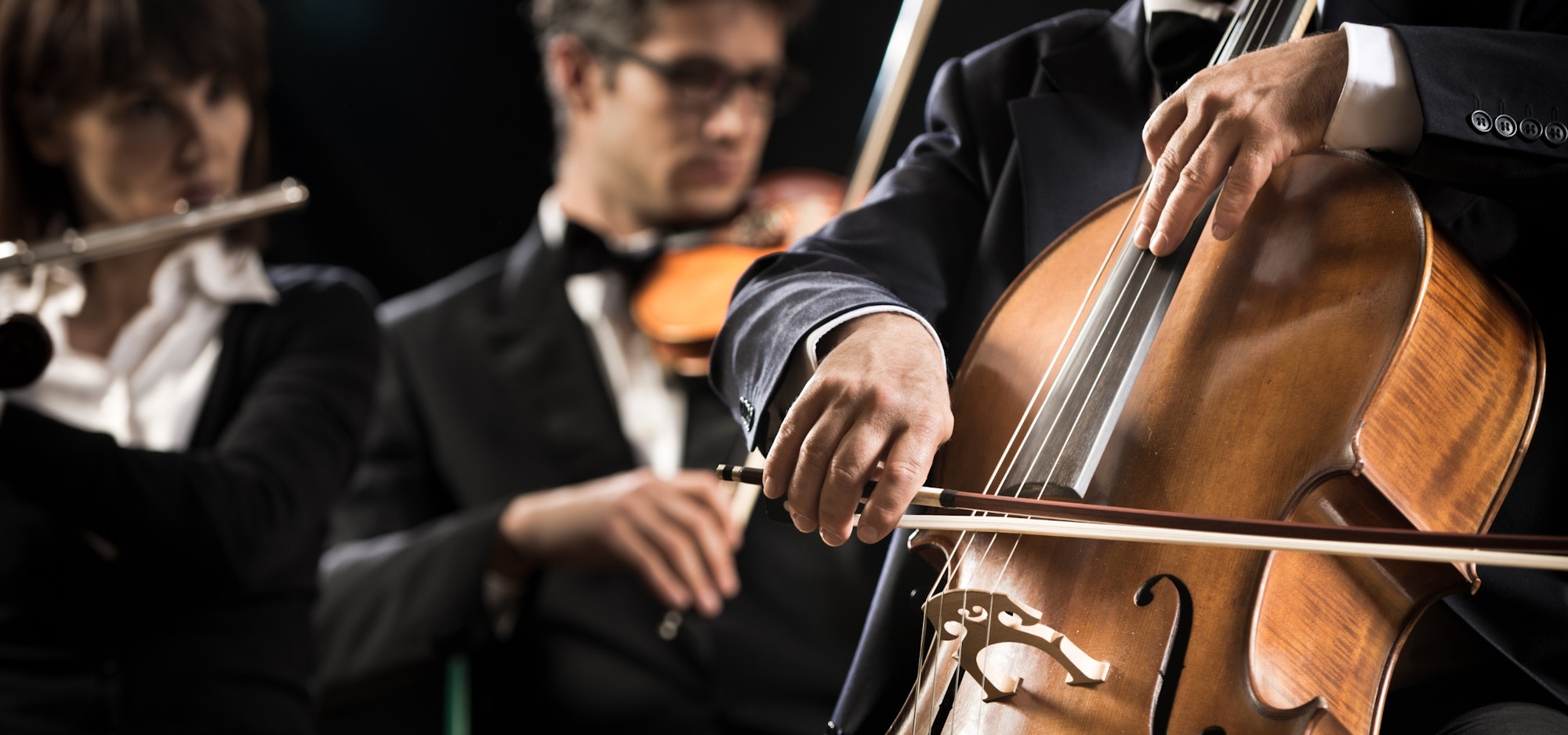 Gallery Plus discounts | Art Gallery of NSW