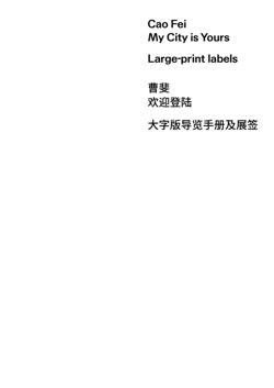 Cao Fei: My City is Yours | Art Gallery of NSW