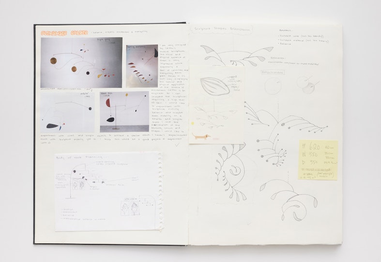 Anna Skye Fiedler | Art Gallery of NSW
