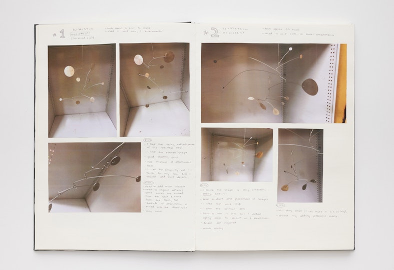 Anna Skye Fiedler | Art Gallery of NSW