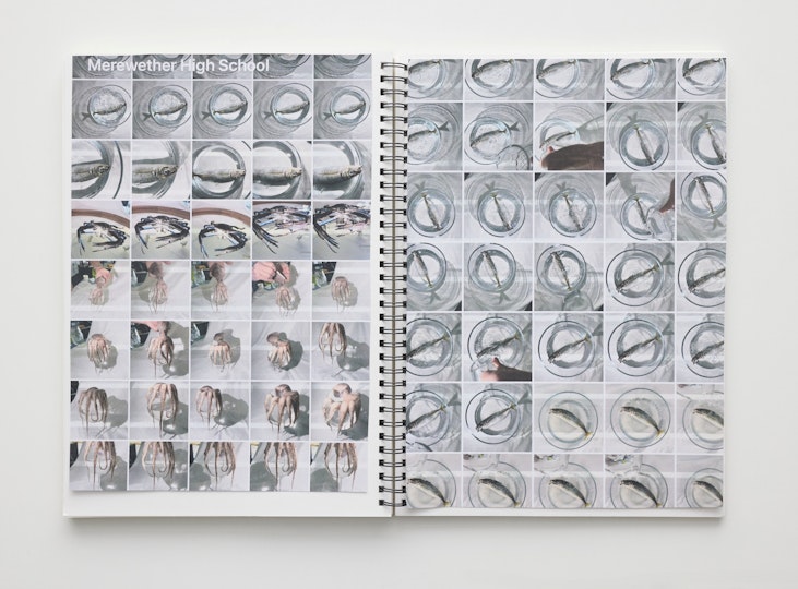 Emily Lee | Art Gallery of NSW