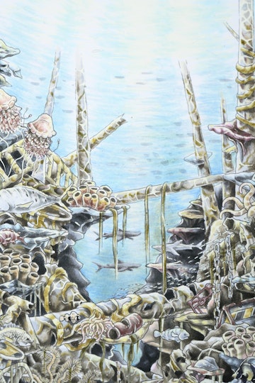 Thomas McFarlane | Art Gallery of NSW