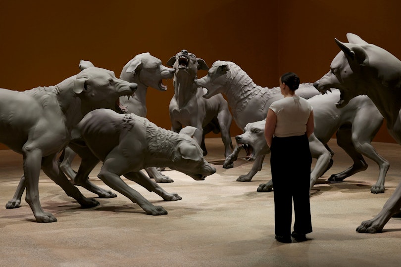 Ron Mueck | Art Gallery of NSW