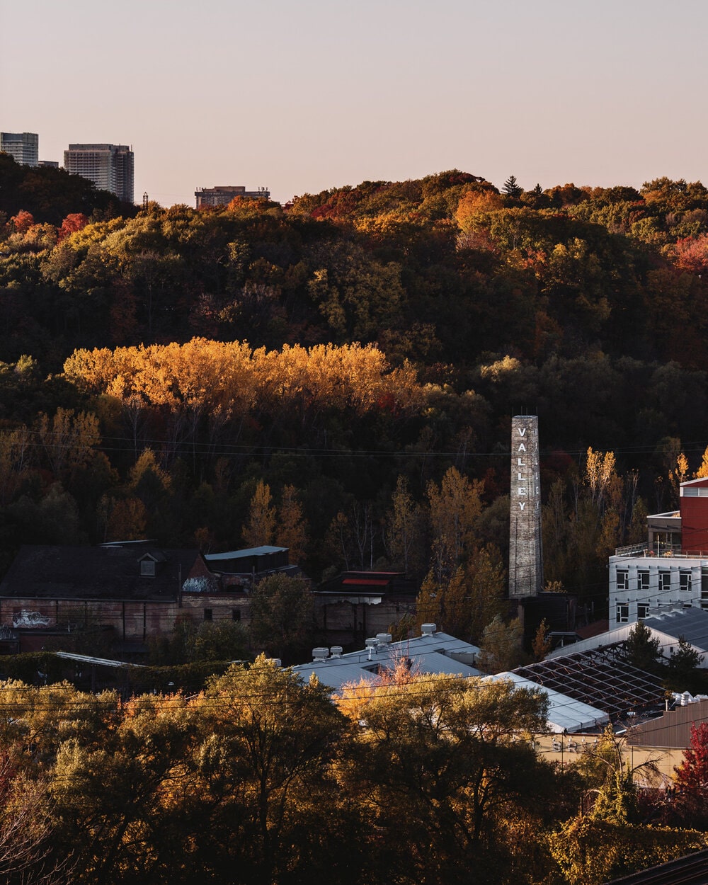 The Neighbourhood of Yonge & St. Clair – One Delisle
