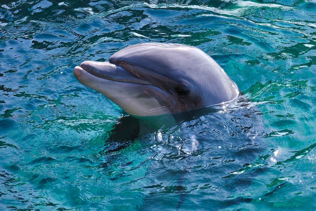 euronews.ro: Știri de ultimă oră, breaking news, #AllViews