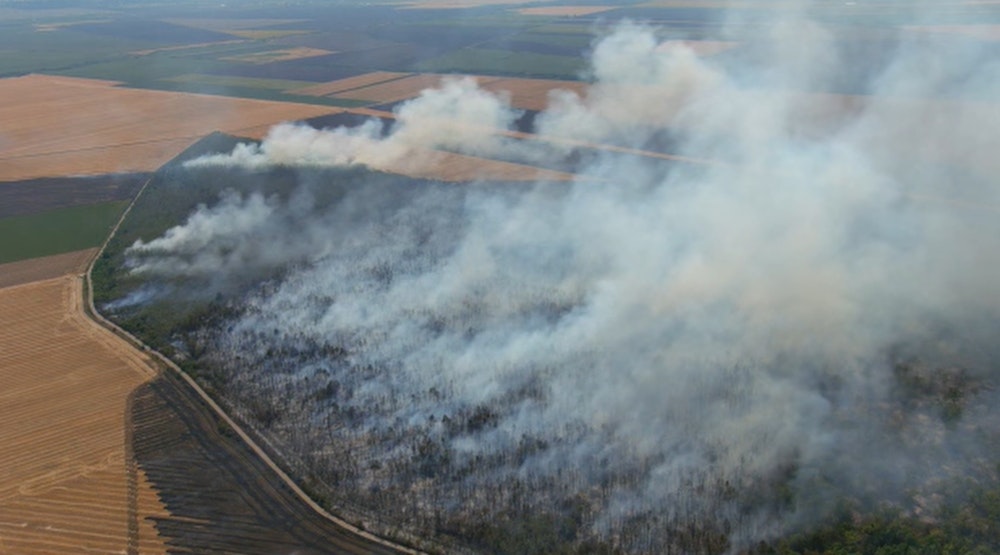 500 de incendii de vegetație în cinci zile. Culturile de grâu, distruse