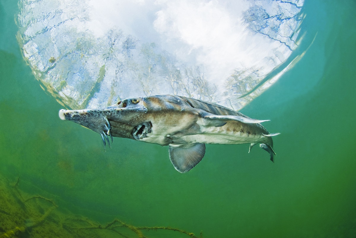 euronews.ro: Știri de ultimă oră, breaking news, #AllViews