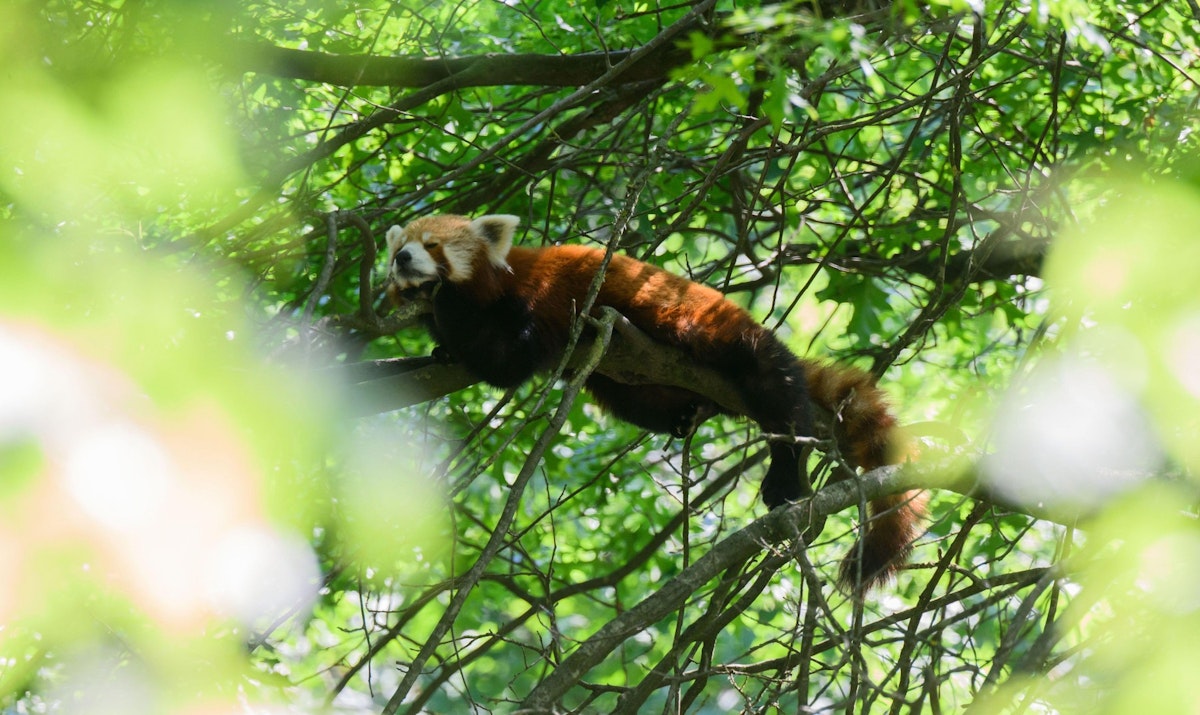 euronews.ro: Știri de ultimă oră, breaking news, #AllViews