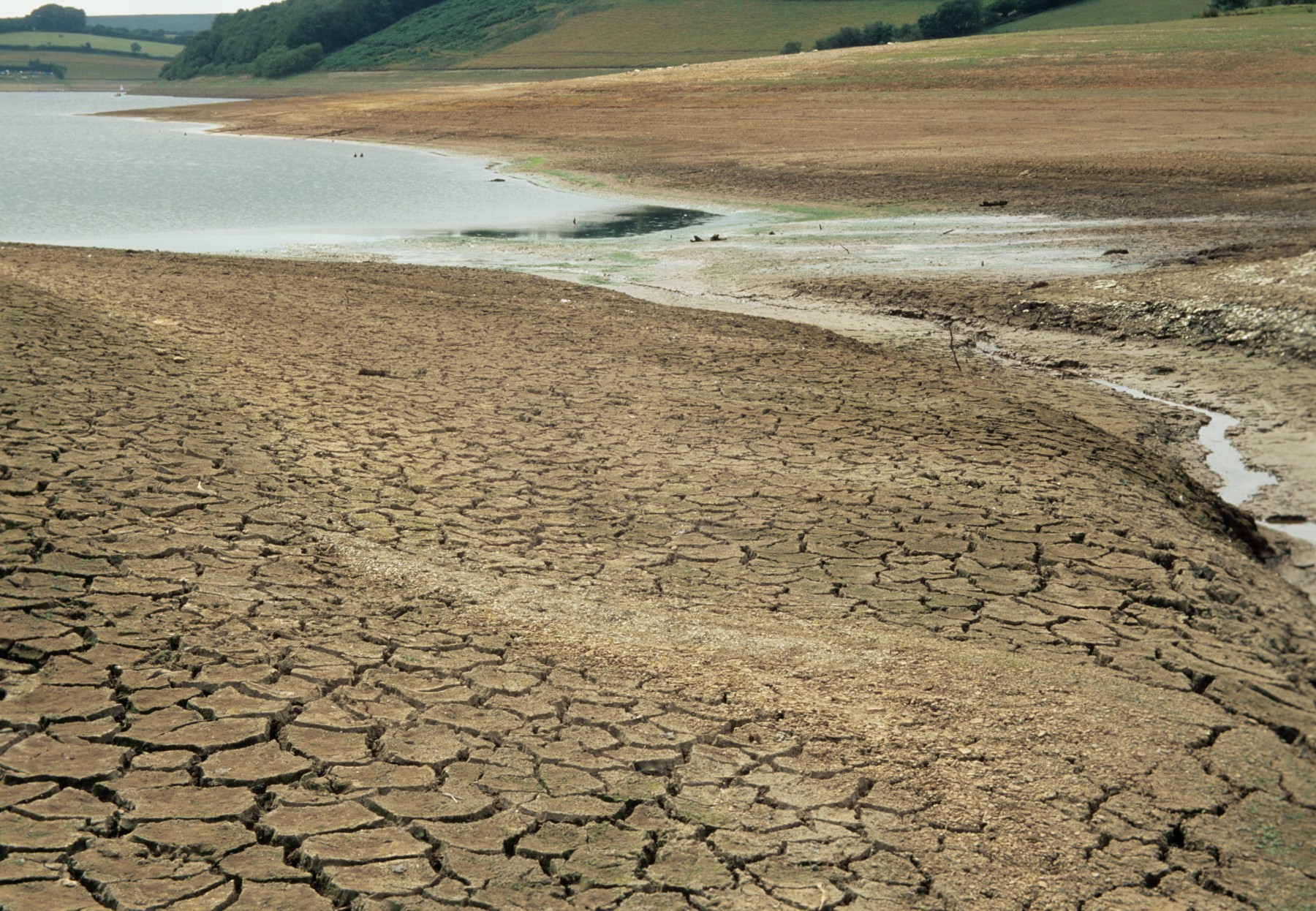 euronews.ro: Știri de ultimă oră, breaking news, #AllViews