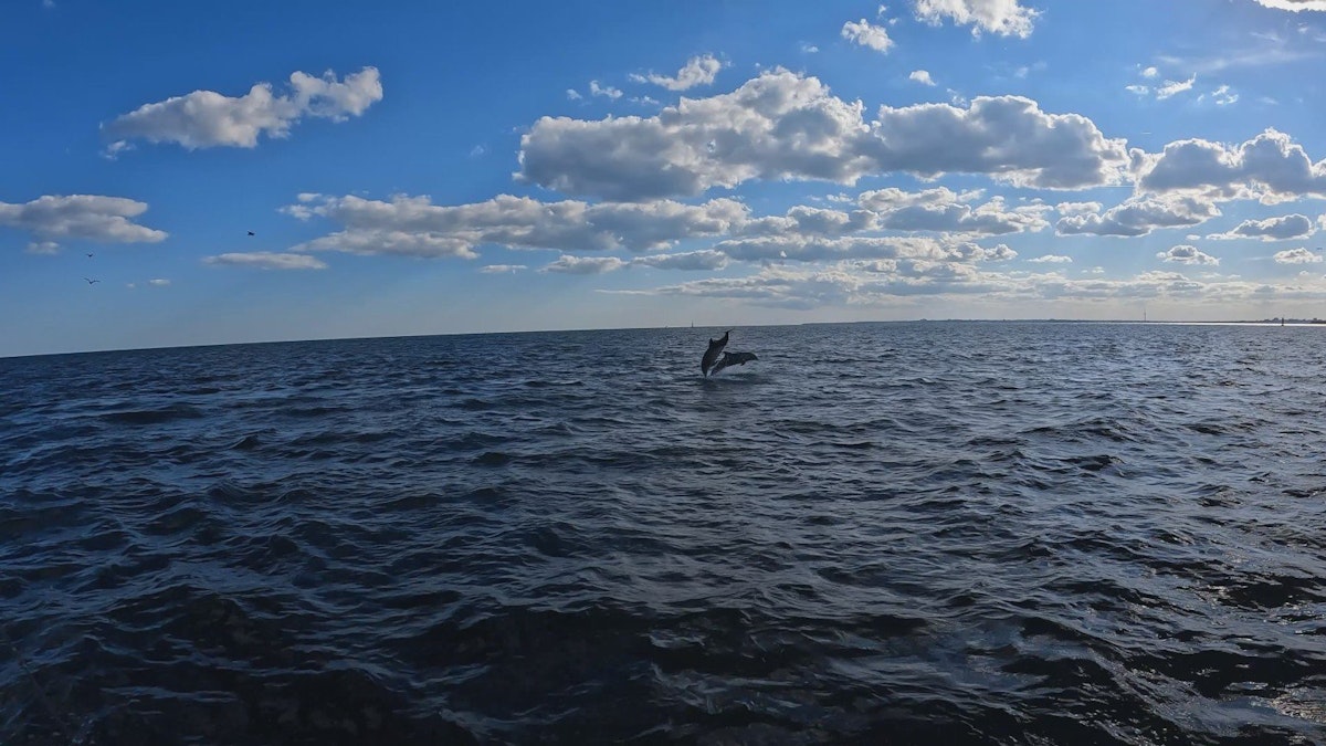 euronews.ro: Știri de ultimă oră, breaking news, #AllViews