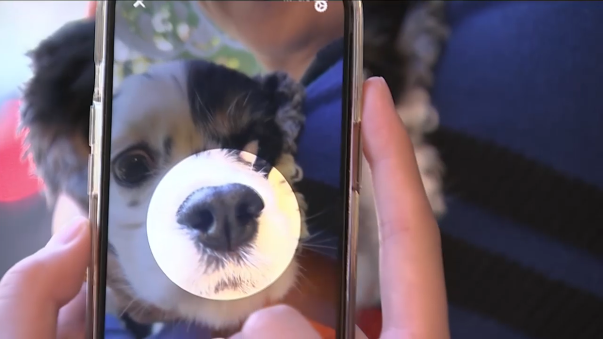 euronews.ro: Știri de ultimă oră, breaking news, #AllViews