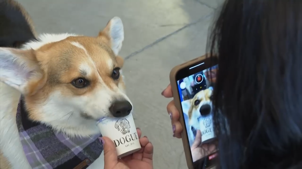 euronews.ro: Știri de ultimă oră, breaking news, #AllViews