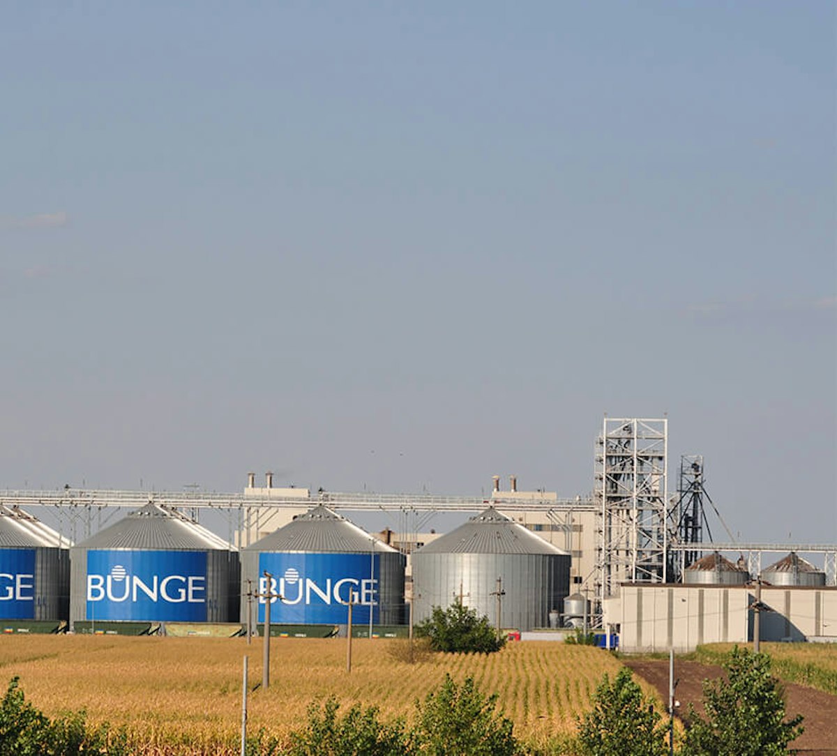 euronews.ro: Știri de ultimă oră, breaking news, #AllViews