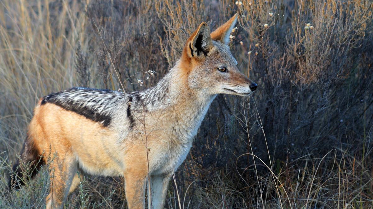 euronews.ro: Știri de ultimă oră, breaking news, #AllViews