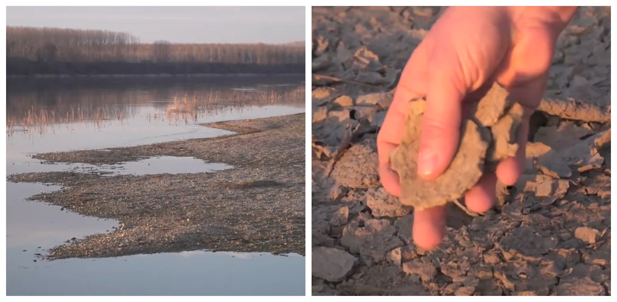 euronews.ro: Știri de ultimă oră, breaking news, #AllViews