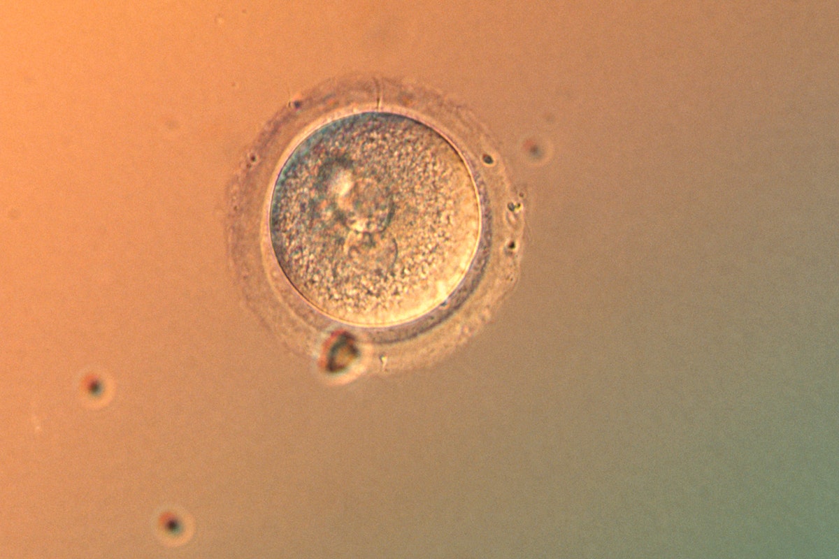 euronews.ro: Știri de ultimă oră, breaking news, #AllViews