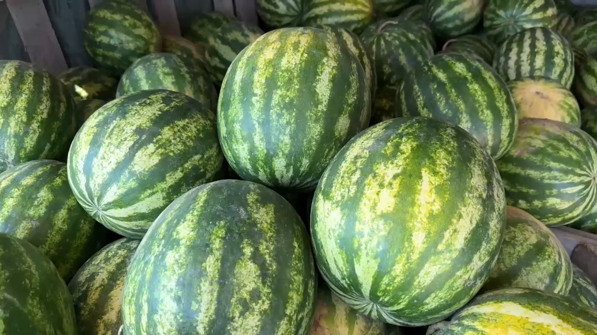 euronews.ro: Știri de ultimă oră, breaking news, #AllViews