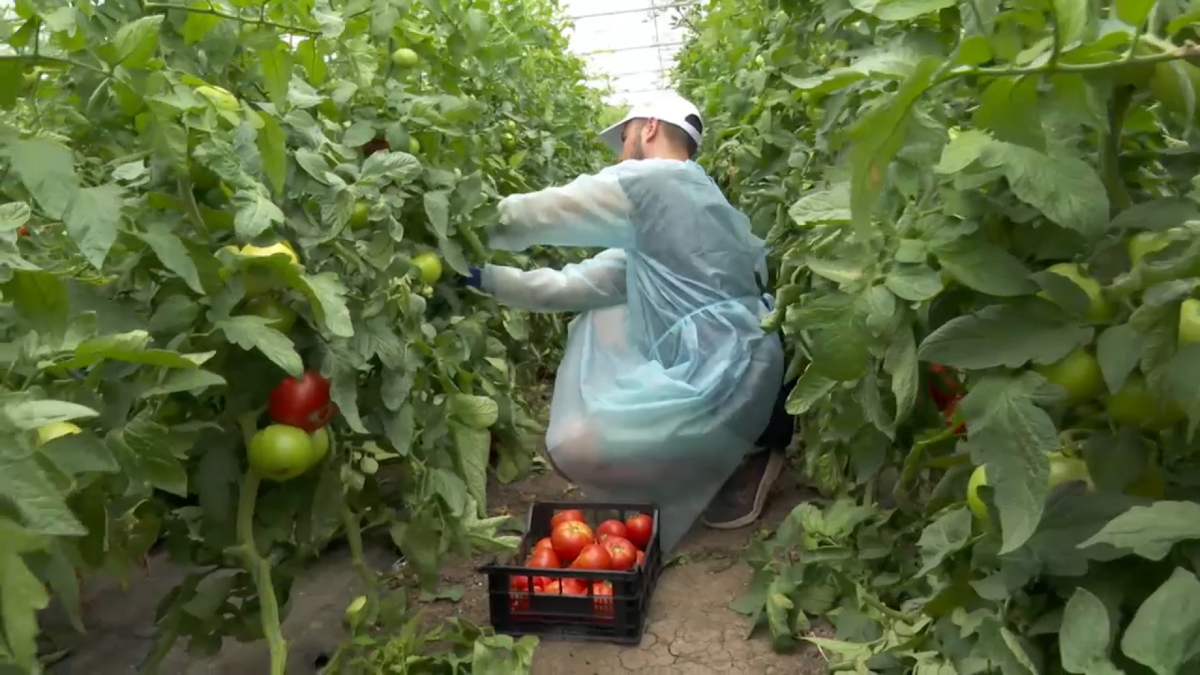 euronews.ro: Știri de ultimă oră, breaking news, #AllViews