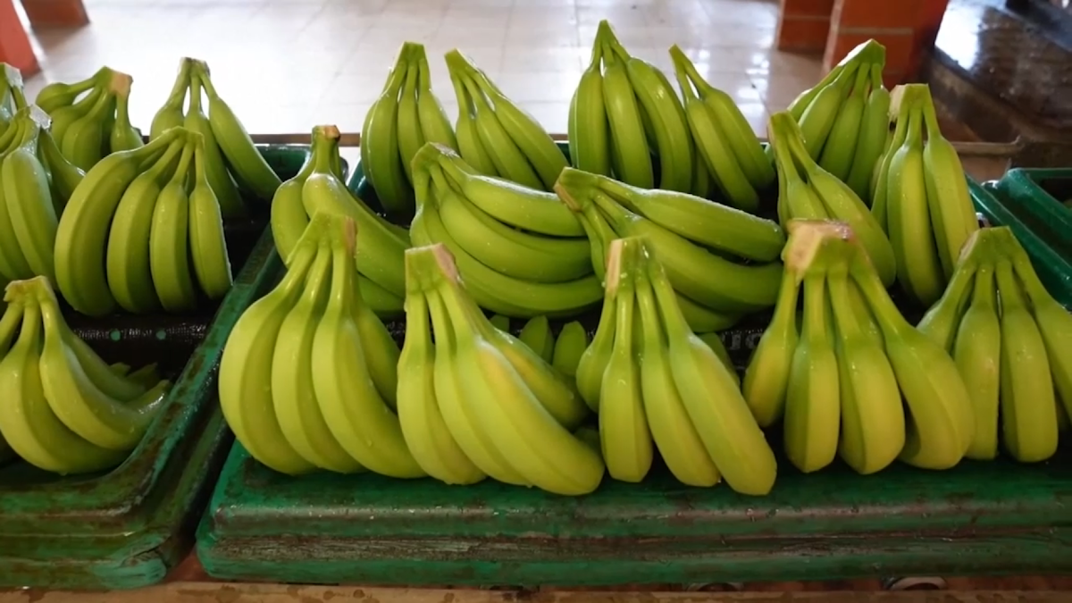 euronews.ro: Știri de ultimă oră, breaking news, #AllViews