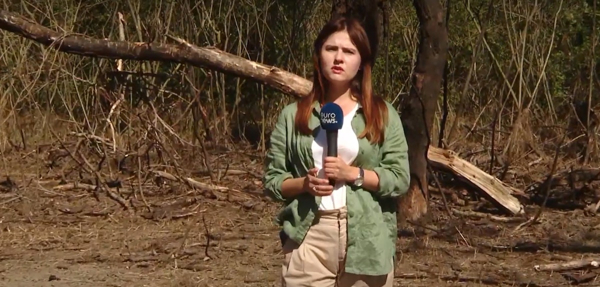 euronews.ro: Știri de ultimă oră, breaking news, #AllViews