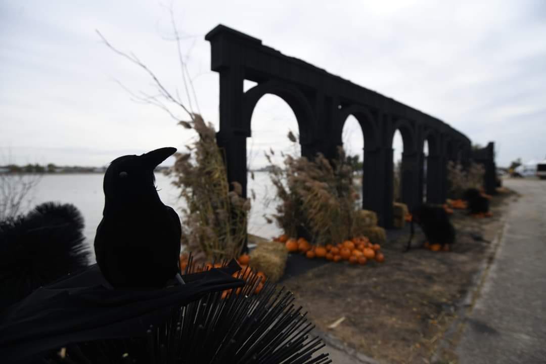 euronews.ro: Știri de ultimă oră, breaking news, #AllViews