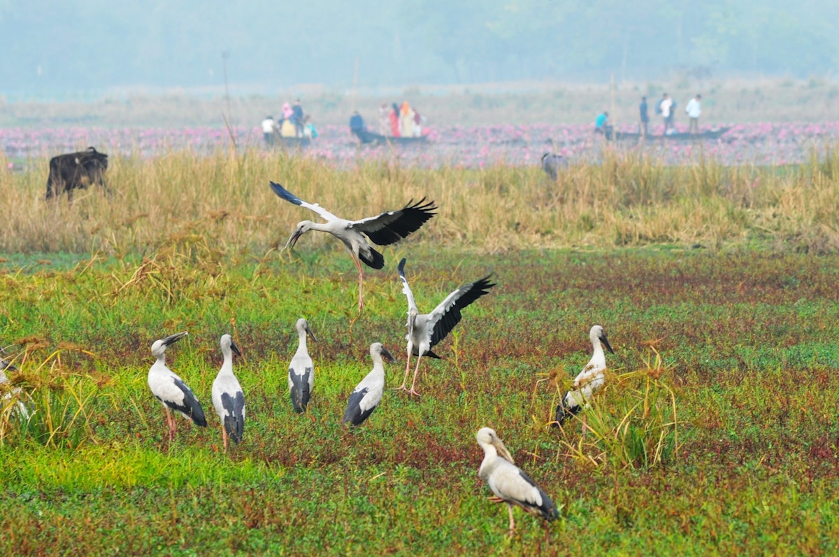 euronews.ro: Știri de ultimă oră, breaking news, #AllViews