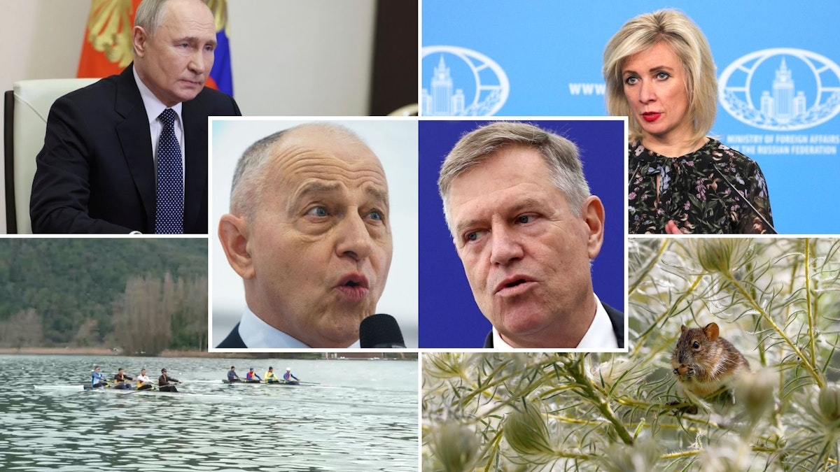 euronews.ro: Știri de ultimă oră, breaking news, #AllViews