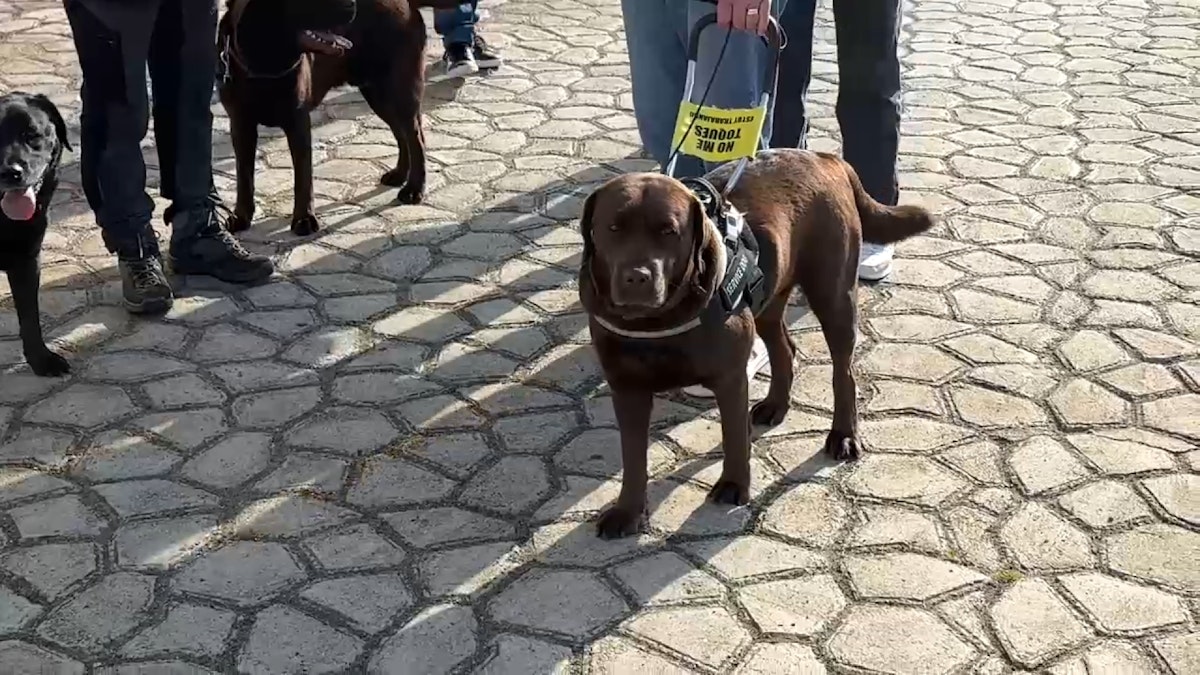 euronews.ro: Știri de ultimă oră, breaking news, #AllViews