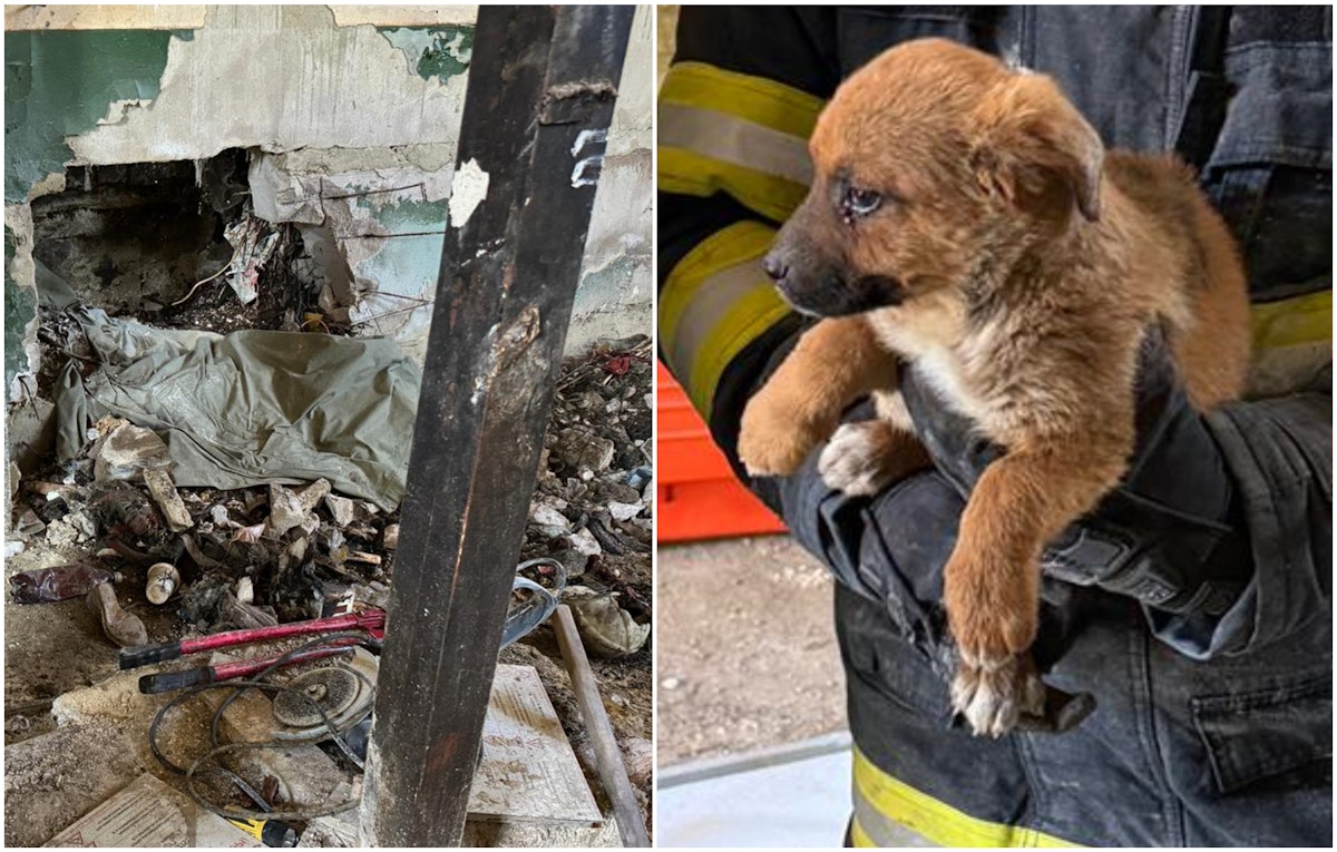 euronews.ro: Știri de ultimă oră, breaking news, #AllViews