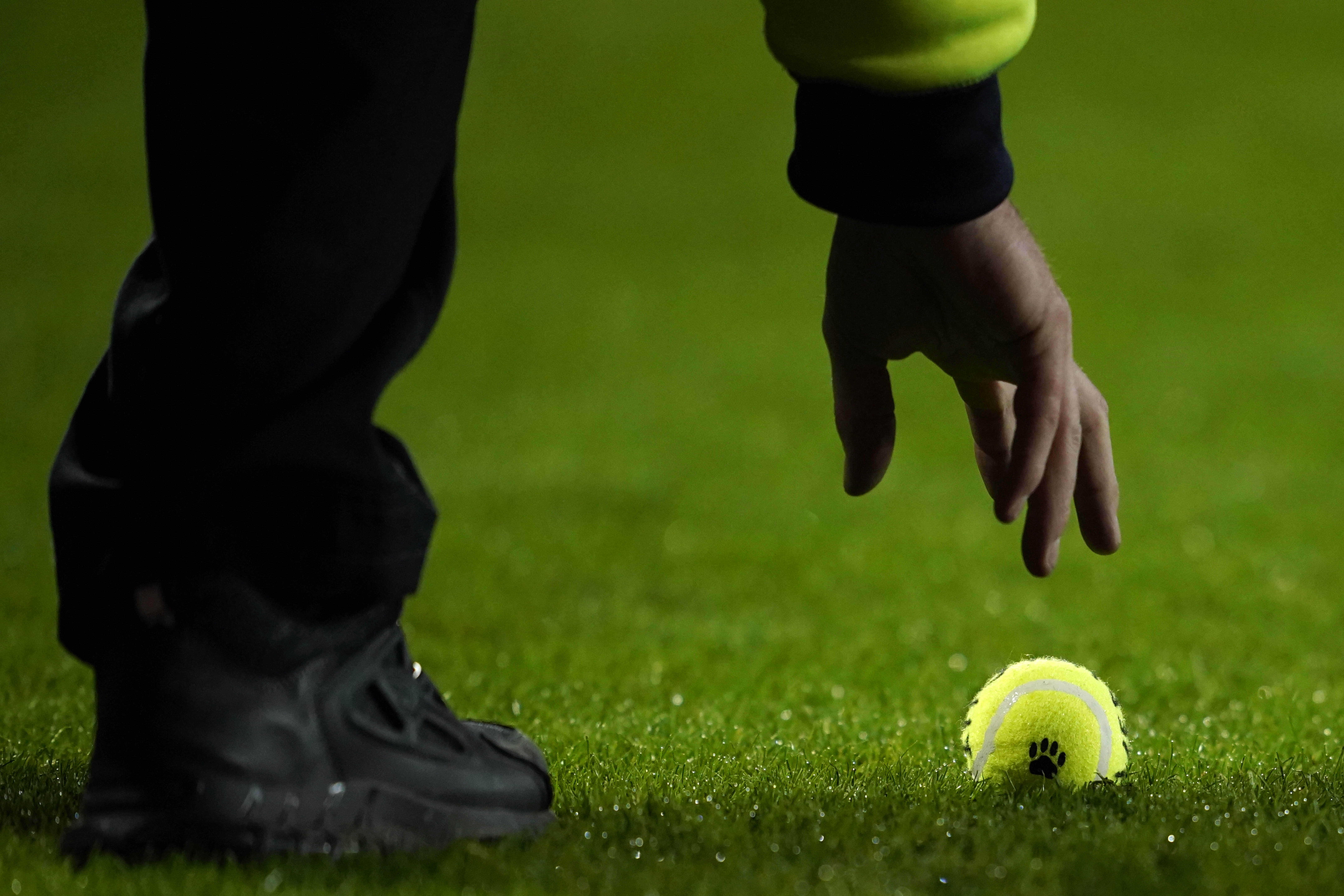 euronews.ro: Știri de ultimă oră, breaking news, #AllViews