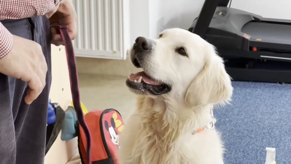 euronews.ro: Știri de ultimă oră, breaking news, #AllViews