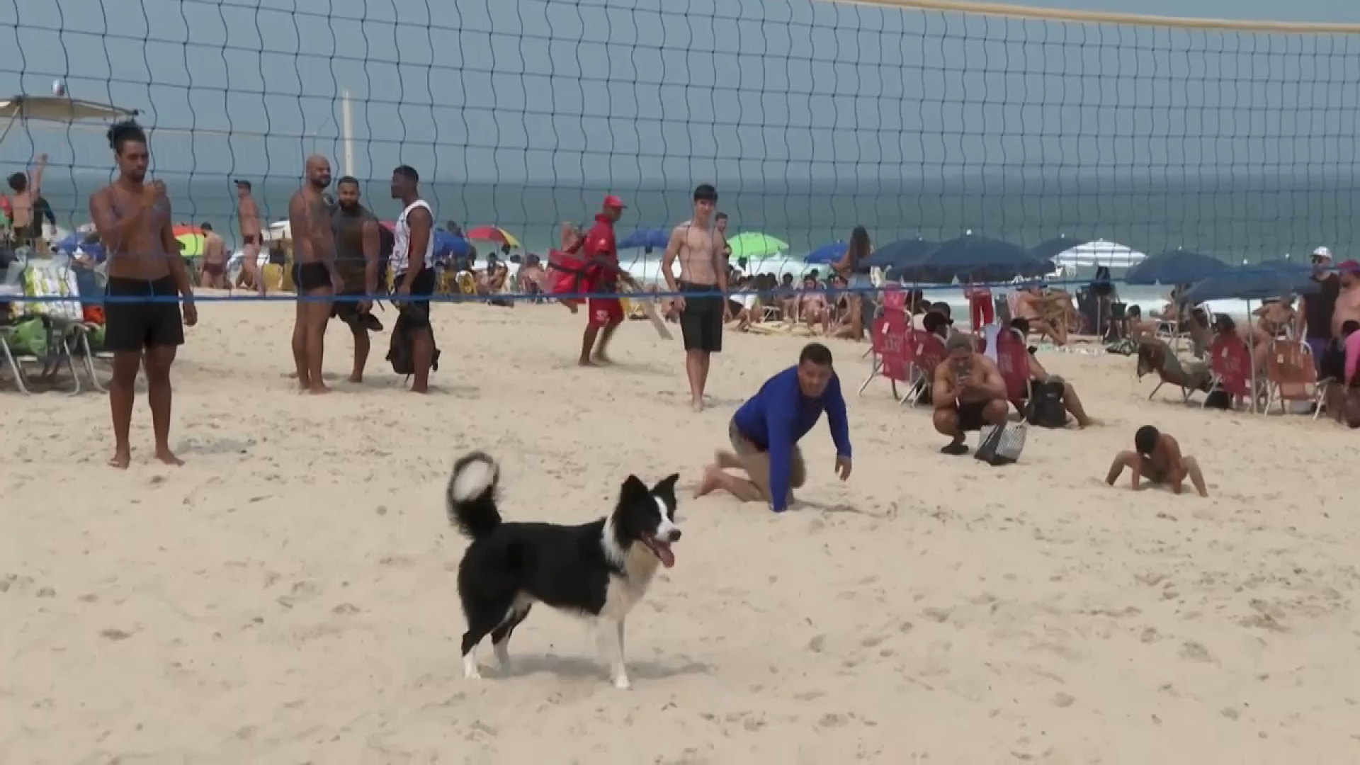 Live Euronews România - Știrile în direct