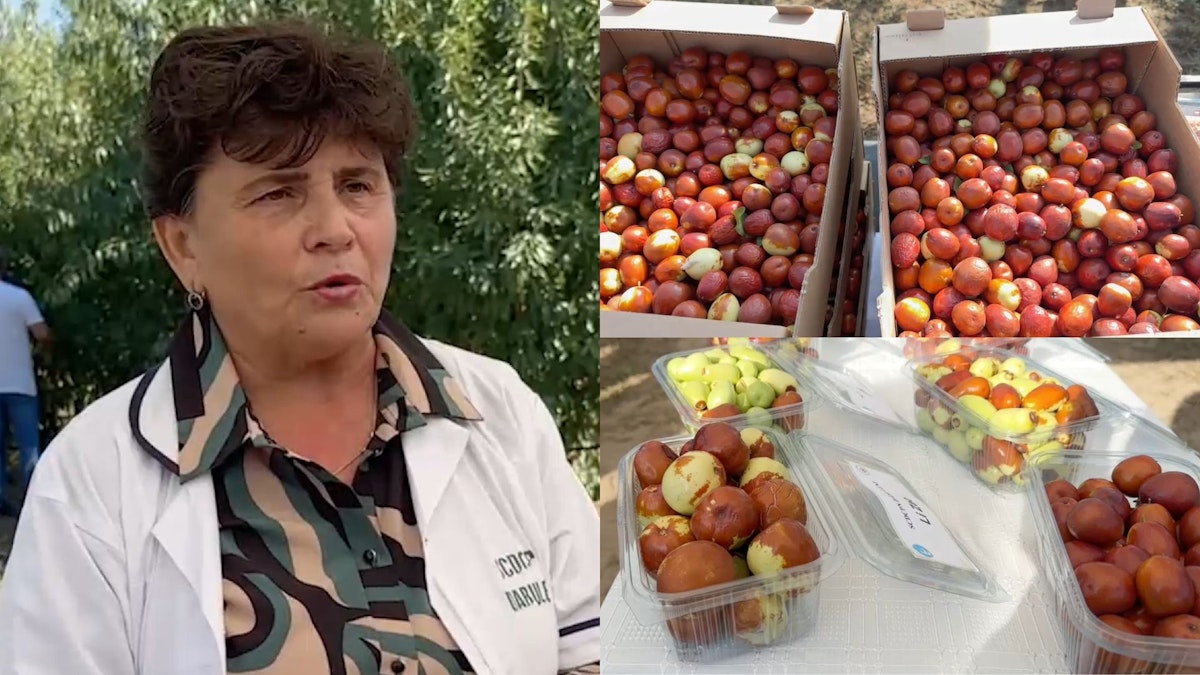 euronews.ro: Știri de ultimă oră, breaking news, #AllViews