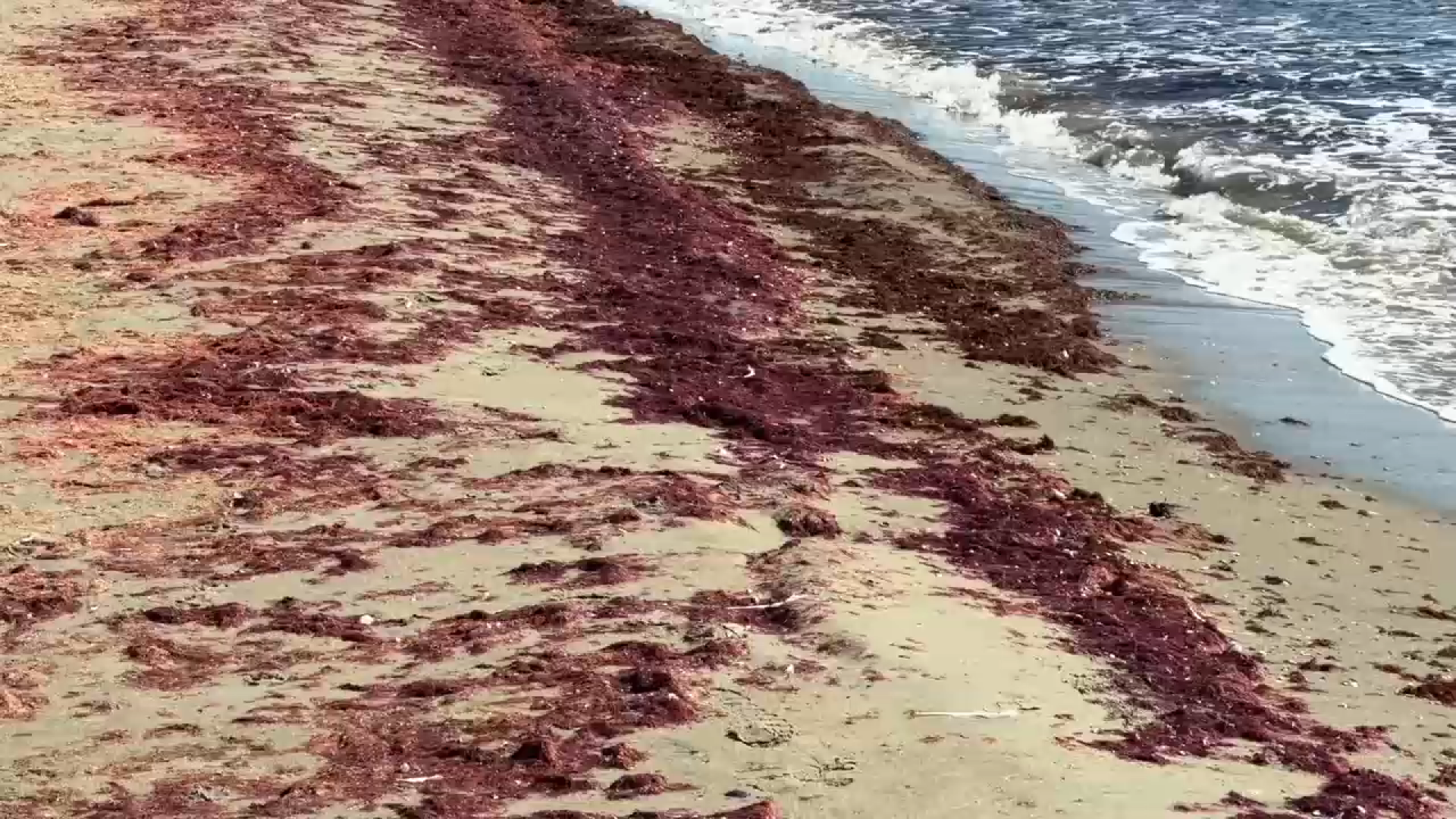 euronews.ro: Știri de ultimă oră, breaking news, #AllViews