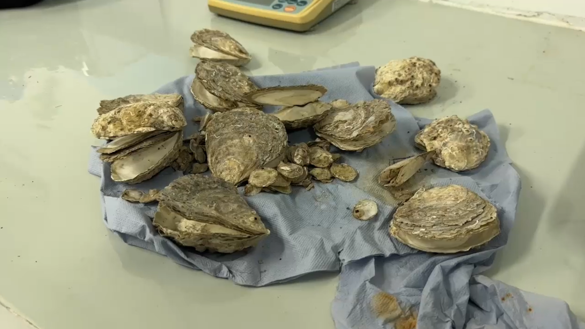 euronews.ro: Știri de ultimă oră, breaking news, #AllViews