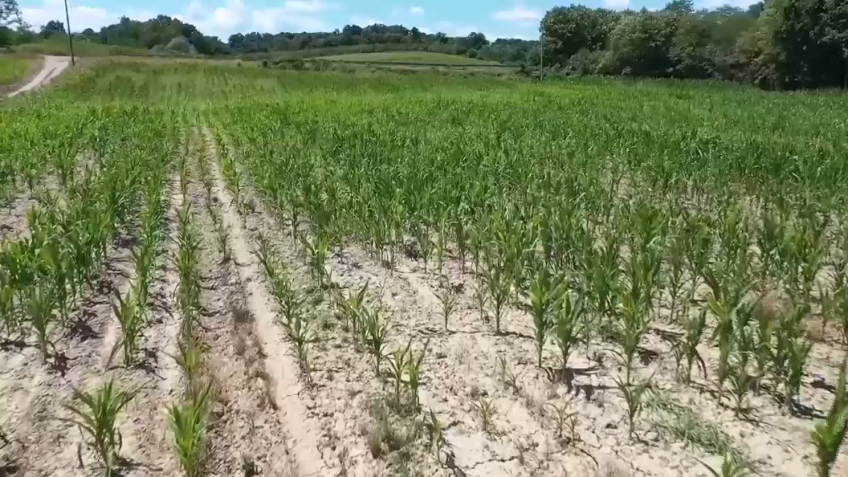 euronews.ro: Știri de ultimă oră, breaking news, #AllViews