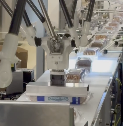End-of-Line Automation | Case Packing & Palletizing | Formic