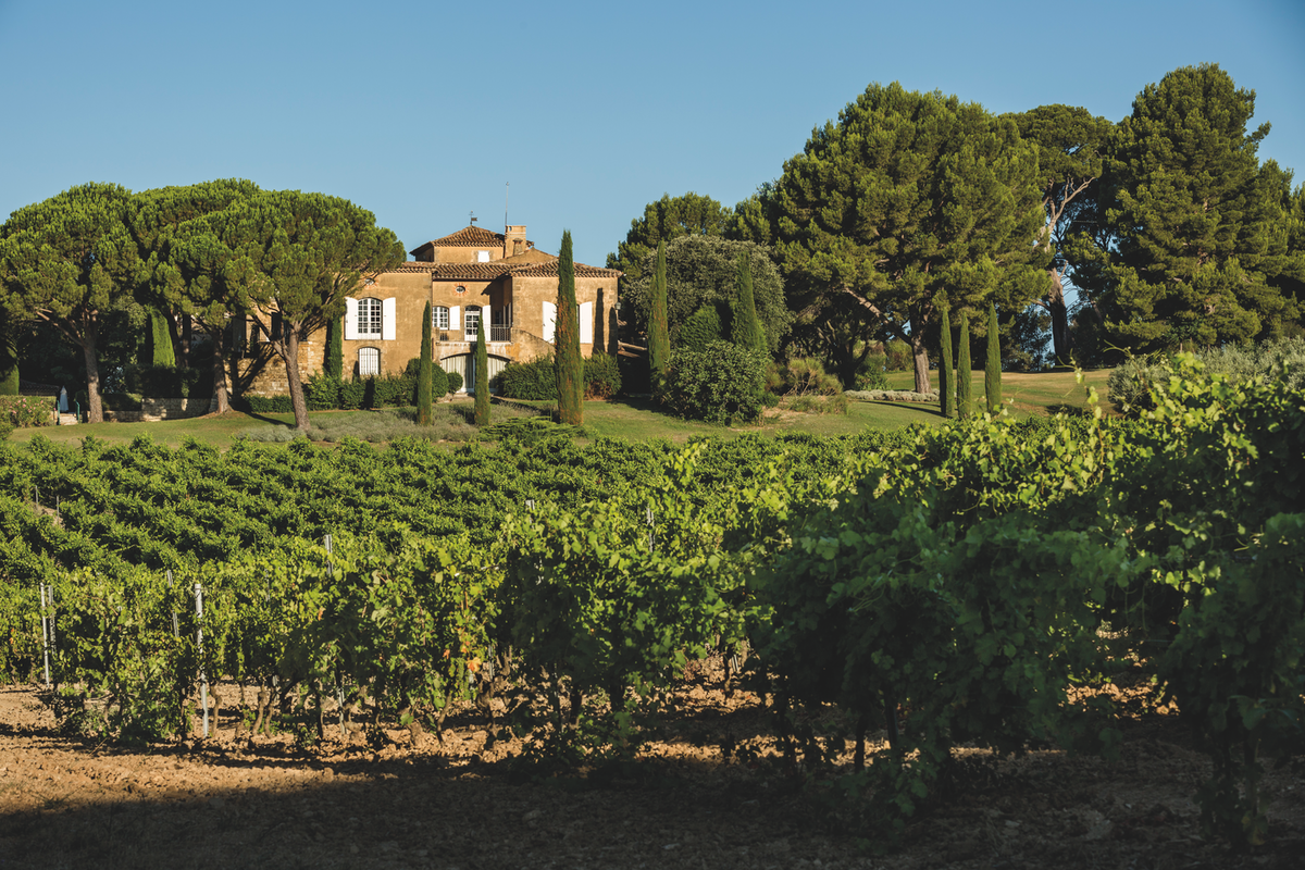 Où trouver le meilleur vin du Luberon