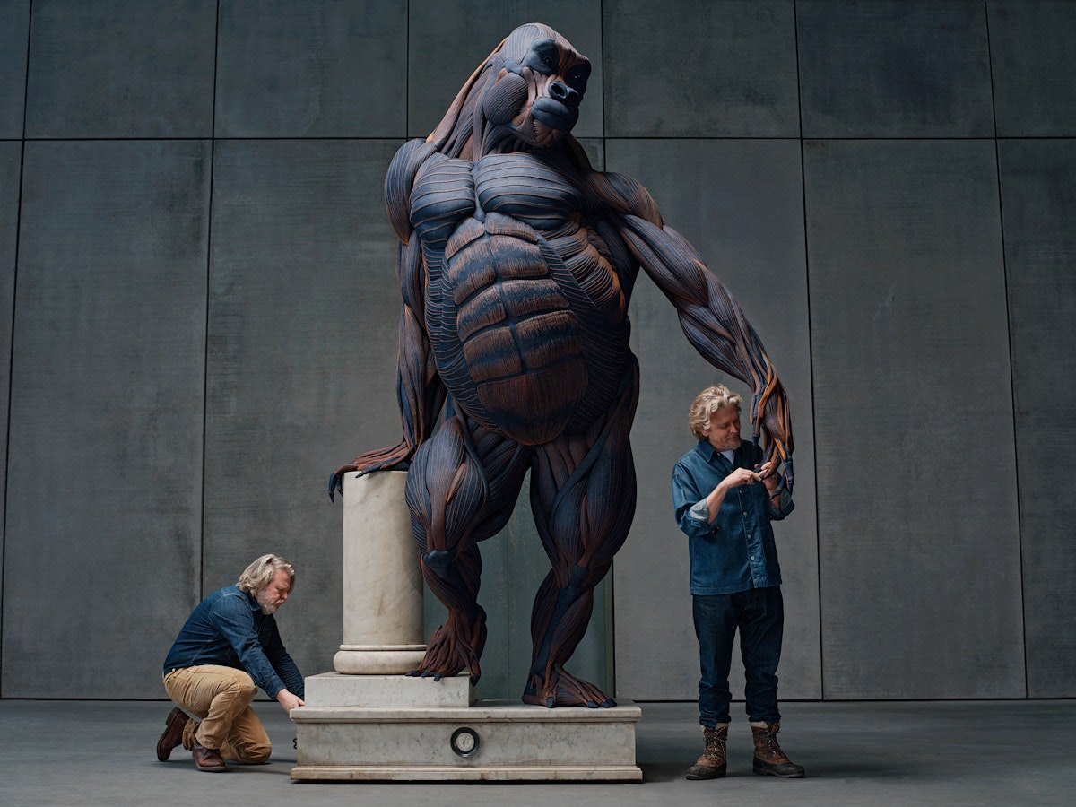 The Denim Gorilla : G-STAR et les maîtres de la taxidermie réinventent ...