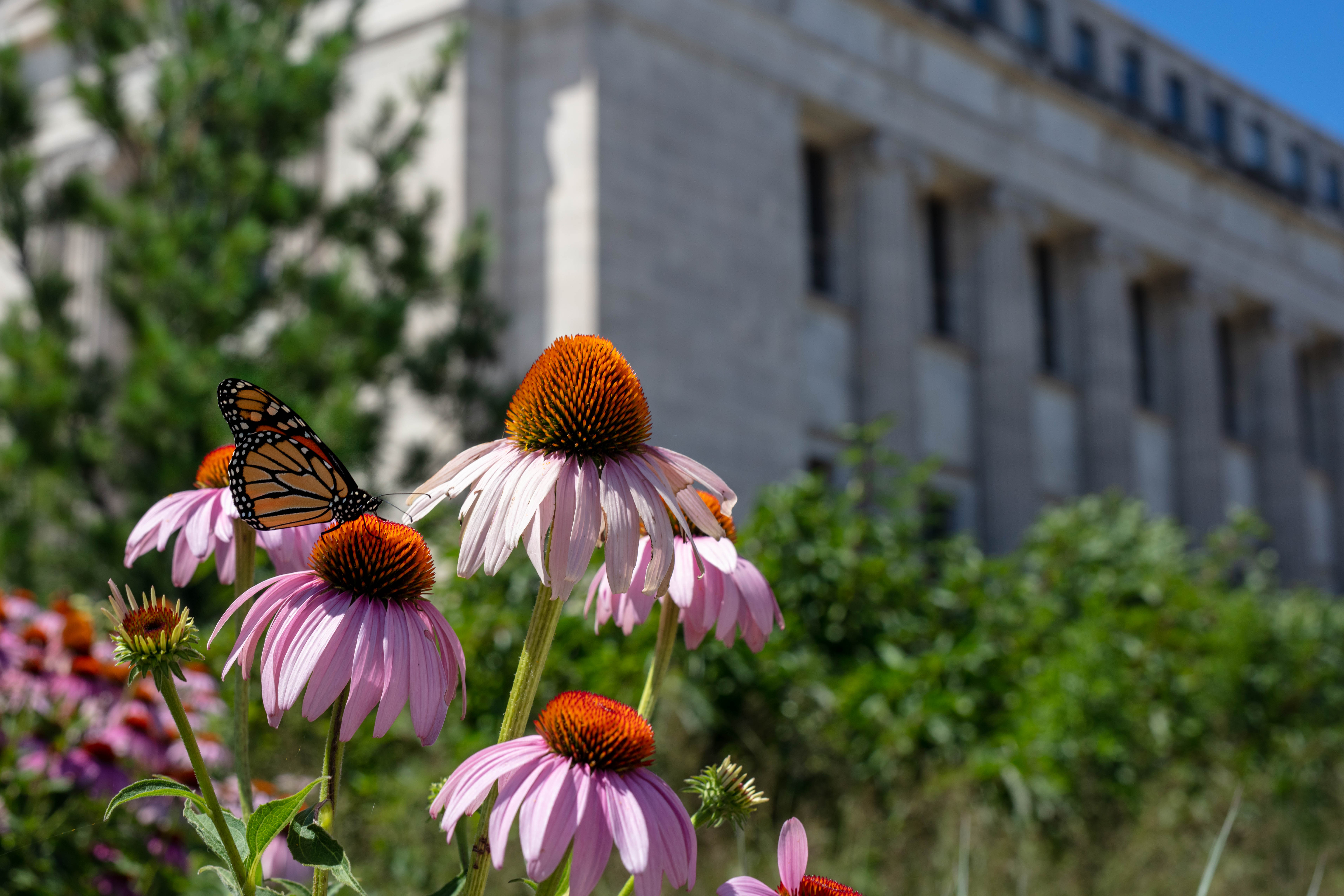 Center for Repatriation, Tribal Relations, and Provenance Research ...
