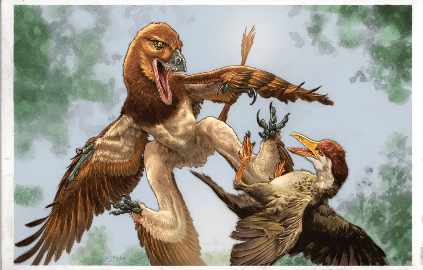 New species of dinosaur, a cousin of Velociraptor, probably glided on ...