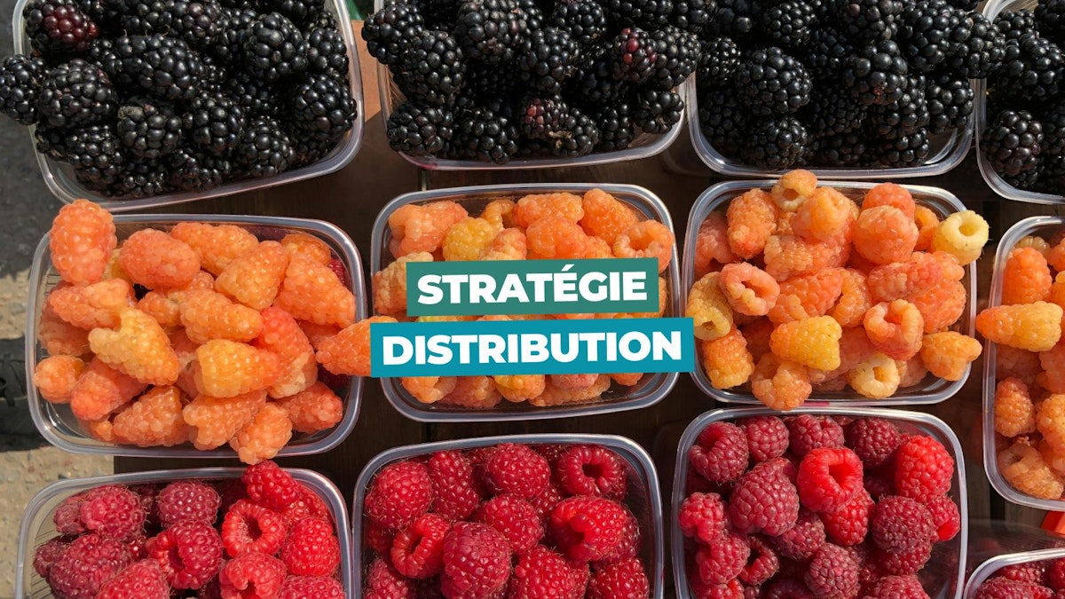 Stratégie de distribution : Méthodes & Canaux