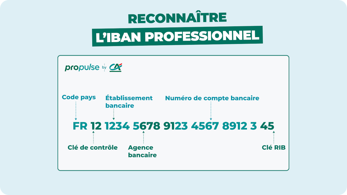 IBAN professionnel : le reconnaître (Exemple)