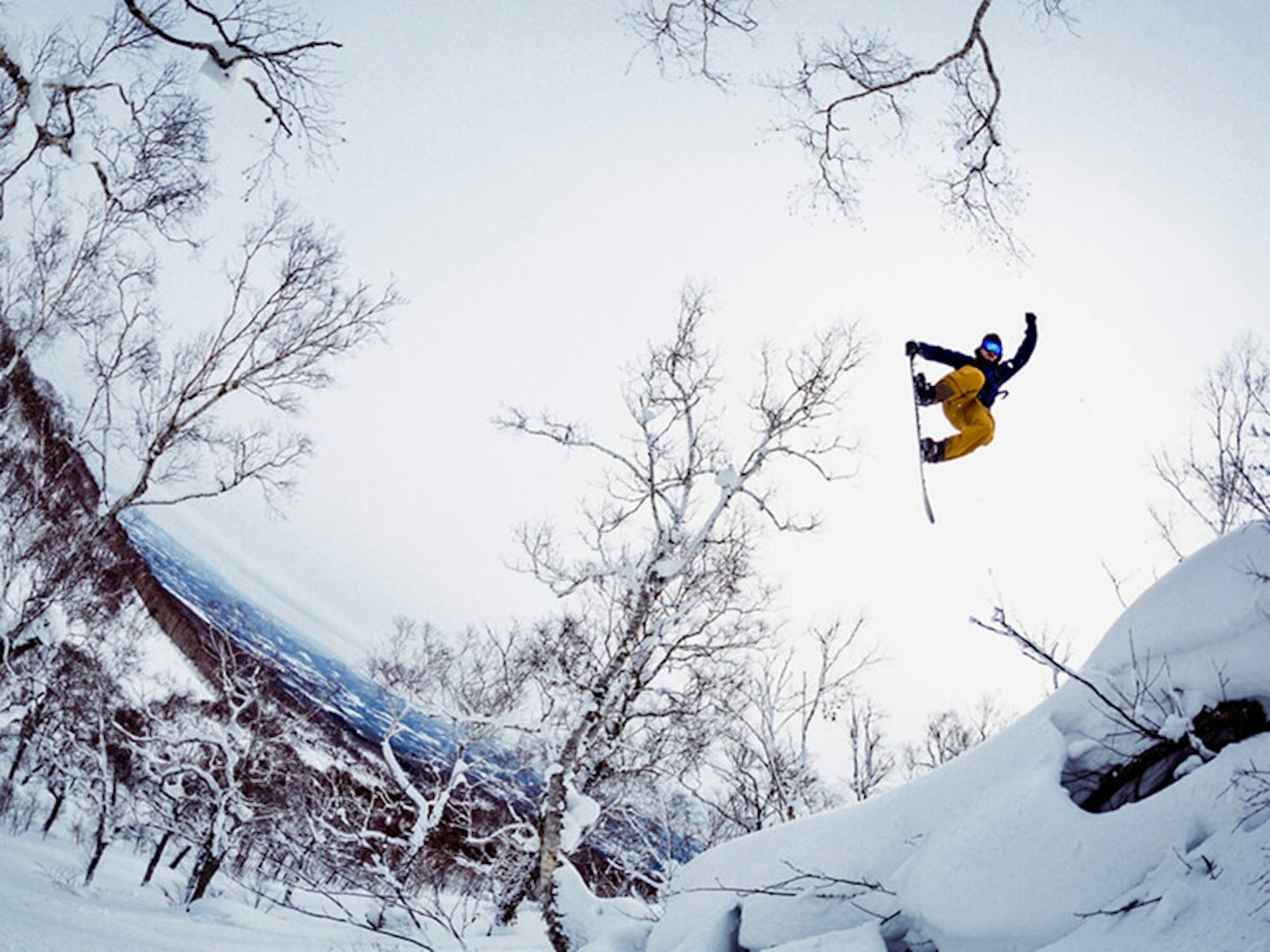 Japanese Powder Dreams | SunGod. See Better.