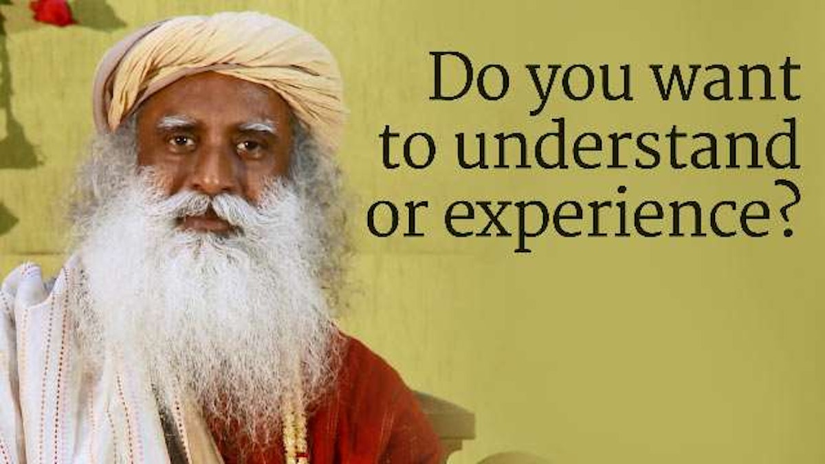 Difference Between Experience and Understanding